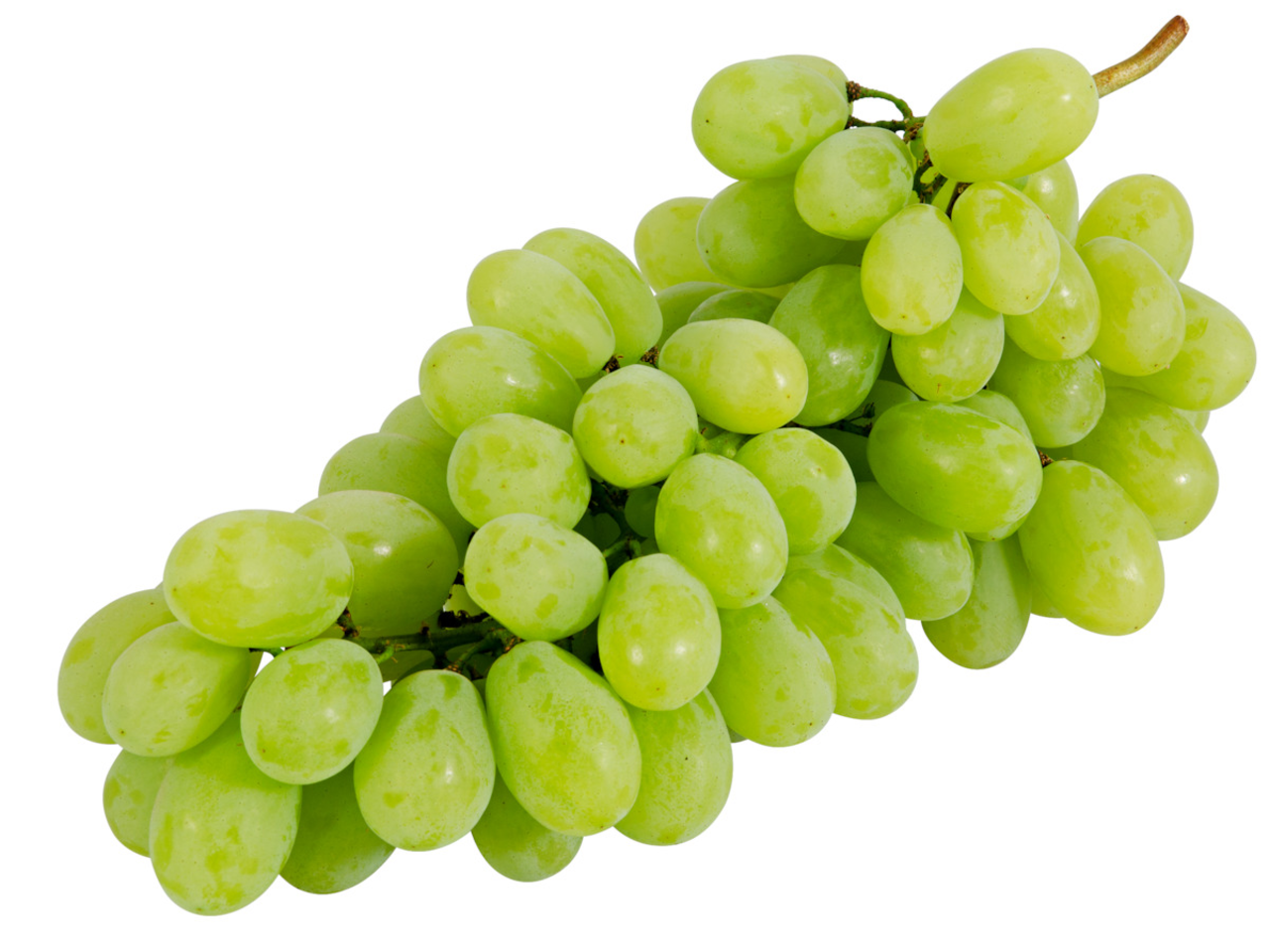 Trauben weiss Vittoria, aus Italien, 5 kg