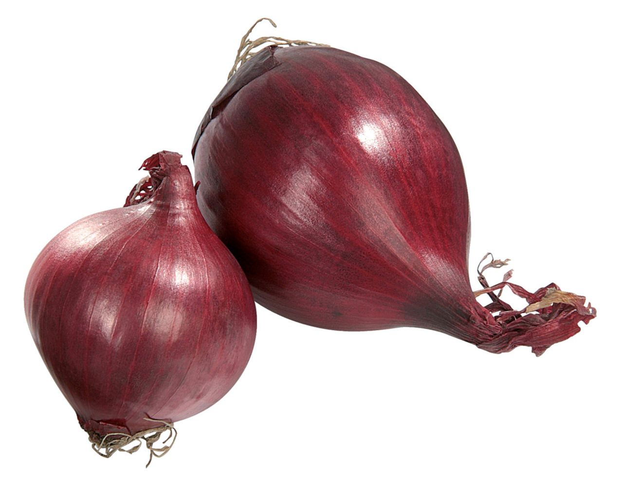 Oignons rouges, 5 kg